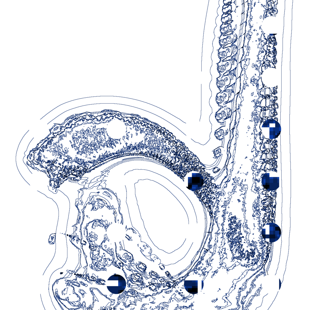 Coding 4 Art - Coding for Art / アートのためのコーディング